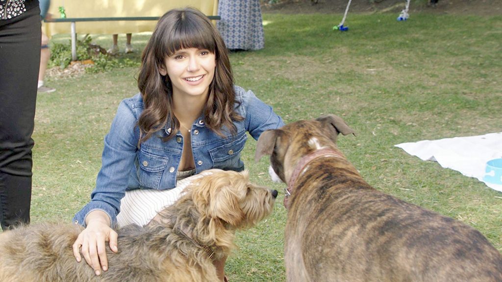 Feel-good ‘Dog Days’ released to home theater outlets this week ...